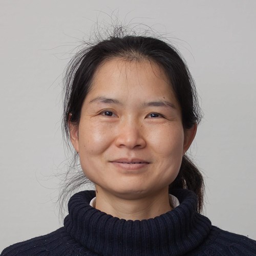 Dr. Dan Ning – ICoMI Virtual 2022. 2nd International Congress of Micro ...